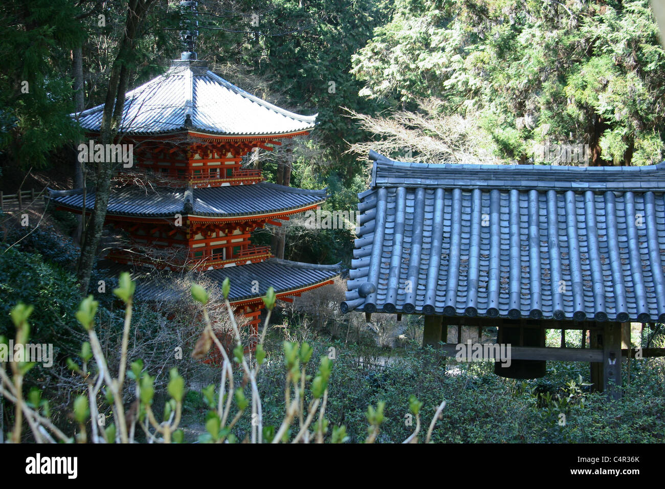 Remote temple hi-res stock photography and images - Alamy