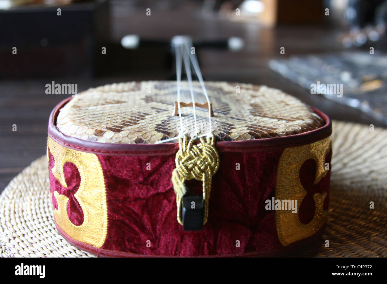 Old traditional stringed instruments hi-res stock photography and ...