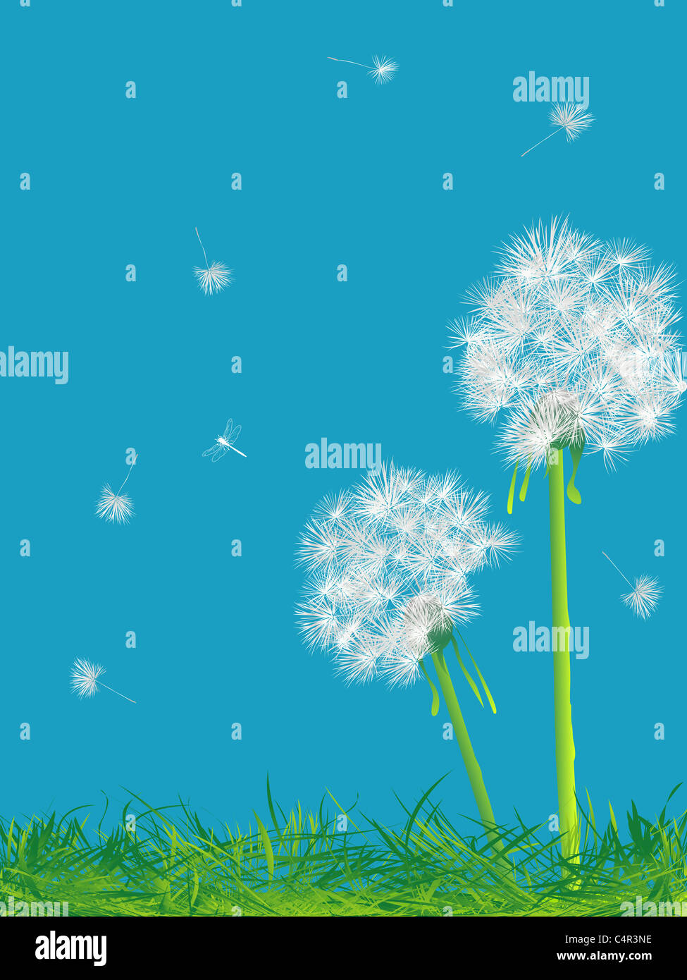 Beautiful dandelions background, abstract art Stock Photo - Alamy