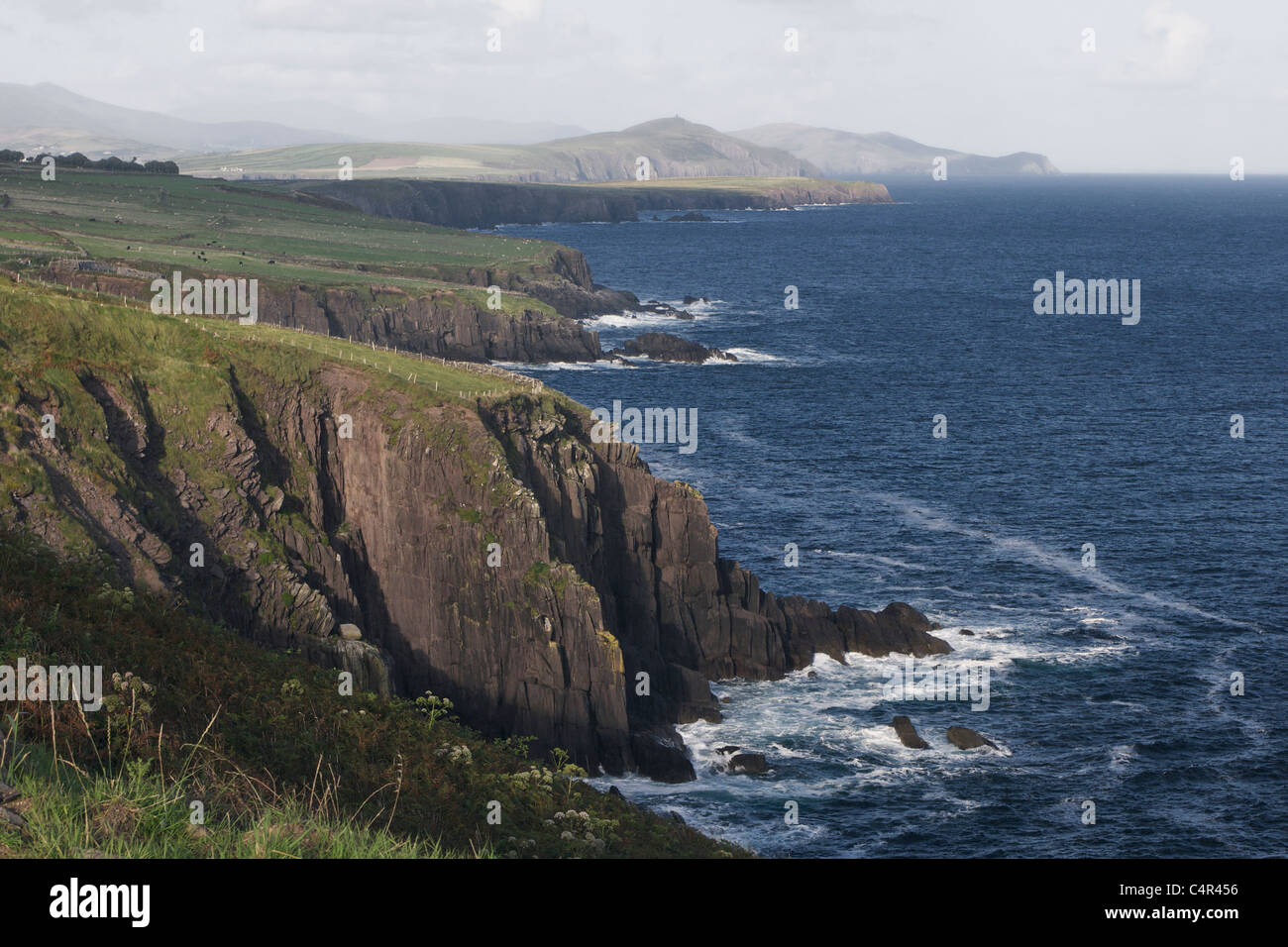 Cliffs of Dingle Peninsula, County Kerry, Ireland Stock Photo - Alamy
