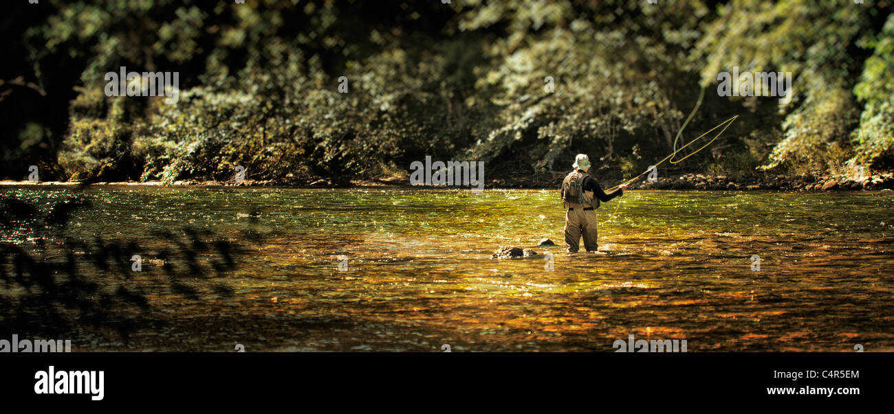 Stamp falls hi-res stock photography and images - Alamy