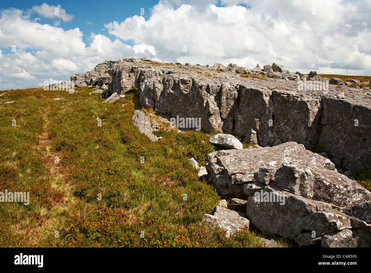 Limestone pavement brecon hi-res stock photography and images - Alamy