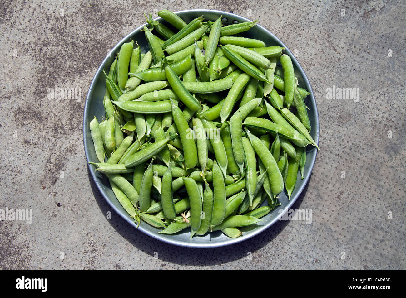 tray full of fresh organic pea pods Stock Photo - Alamy