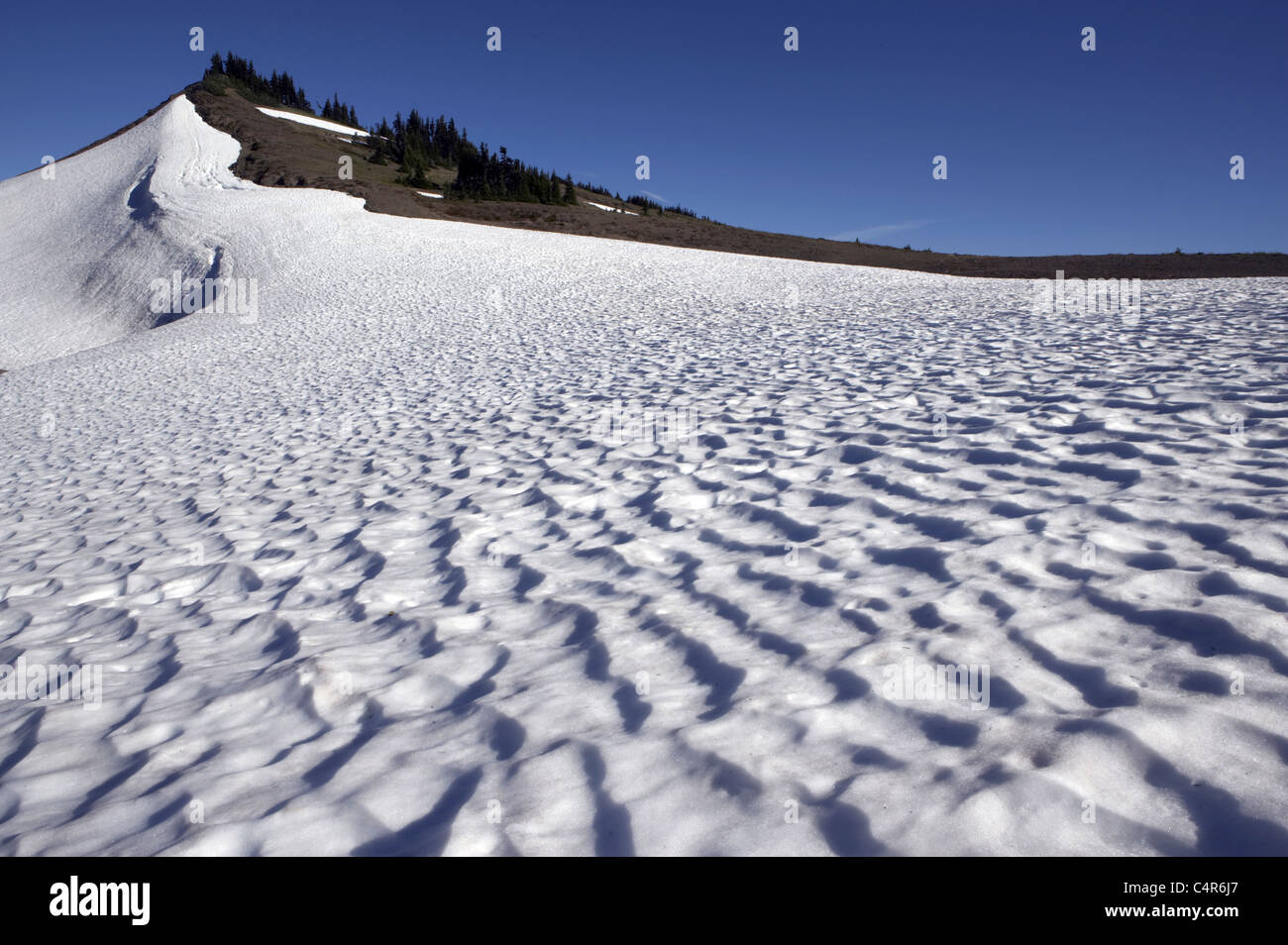 Obstruction hi-res stock photography and images - Alamy