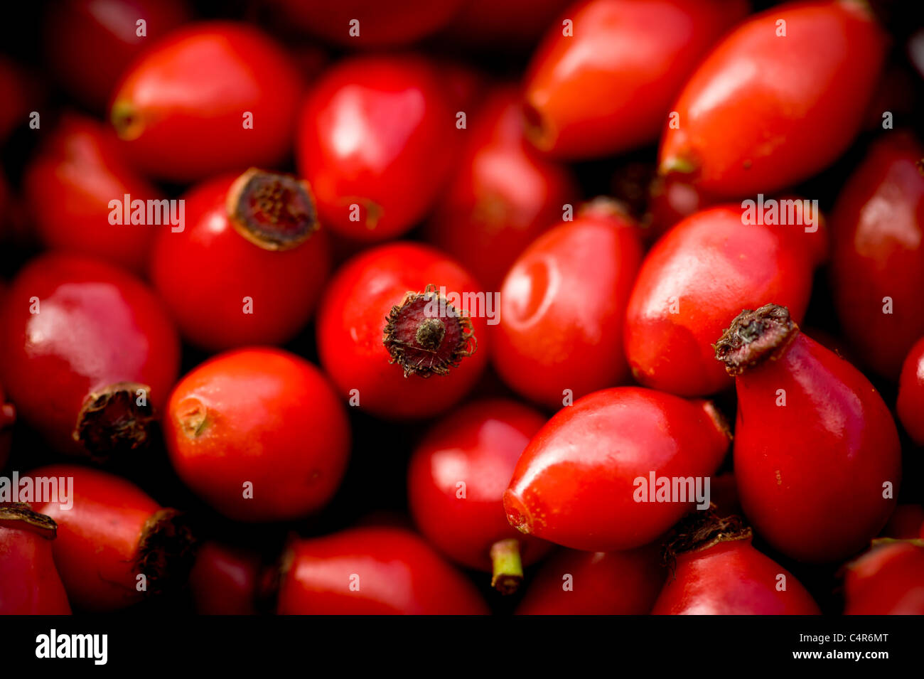 Food for all seasons hi-res stock photography and images - Alamy