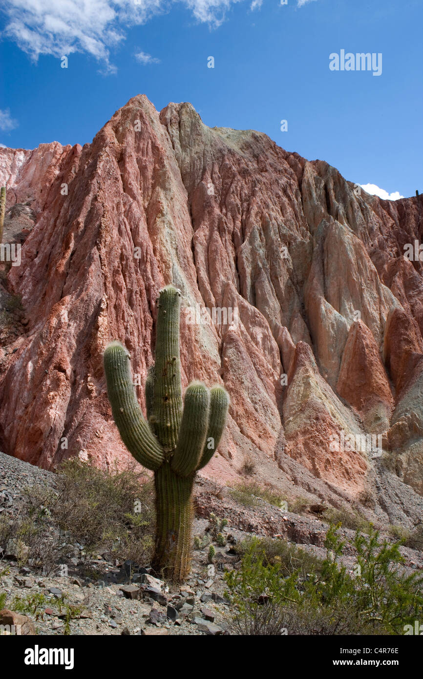 Humahuaca canyon hi-res stock photography and images - Alamy