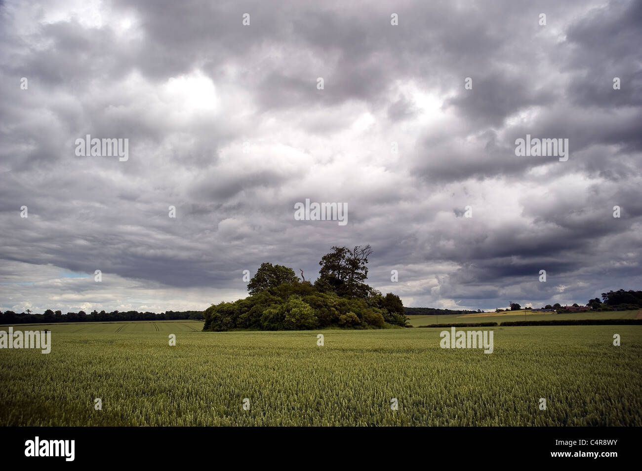 The Great Barrow at Knowlton Henges, Dorset, UK Stock Photo - Alamy