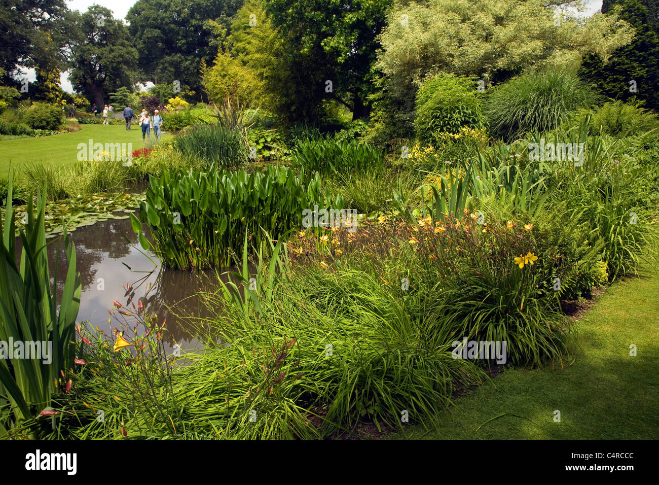 Beth chatto’s garden hi-res stock photography and images - Alamy