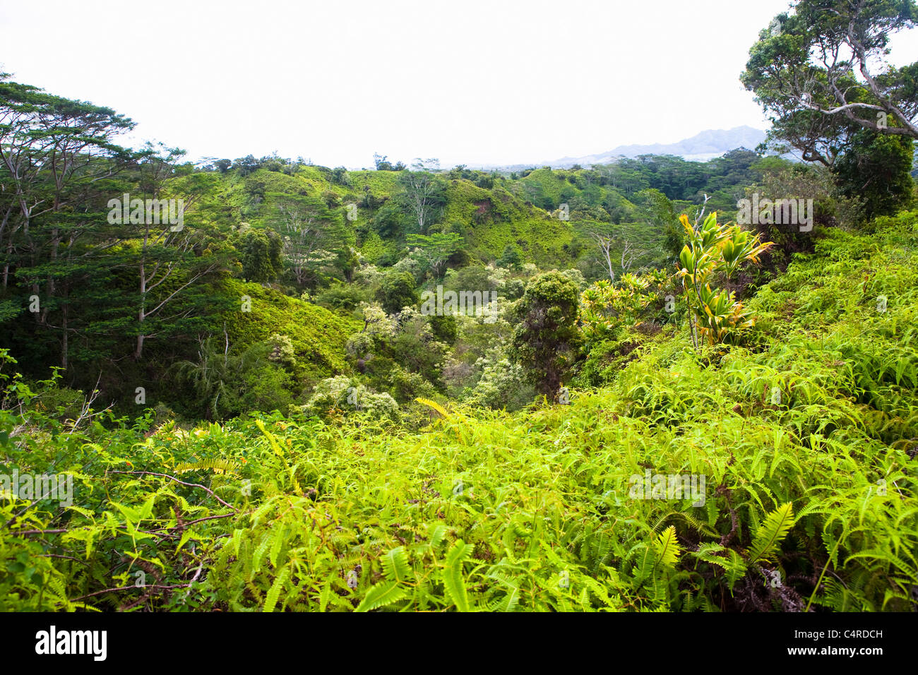 Moalepe trail hi-res stock photography and images - Alamy