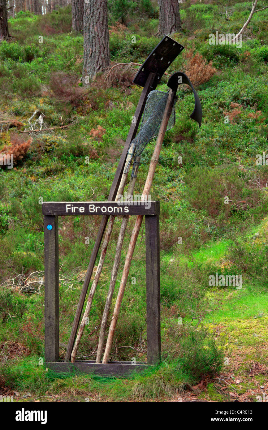 Fire brooms, Scottish Highlands Stock Photo - Alamy