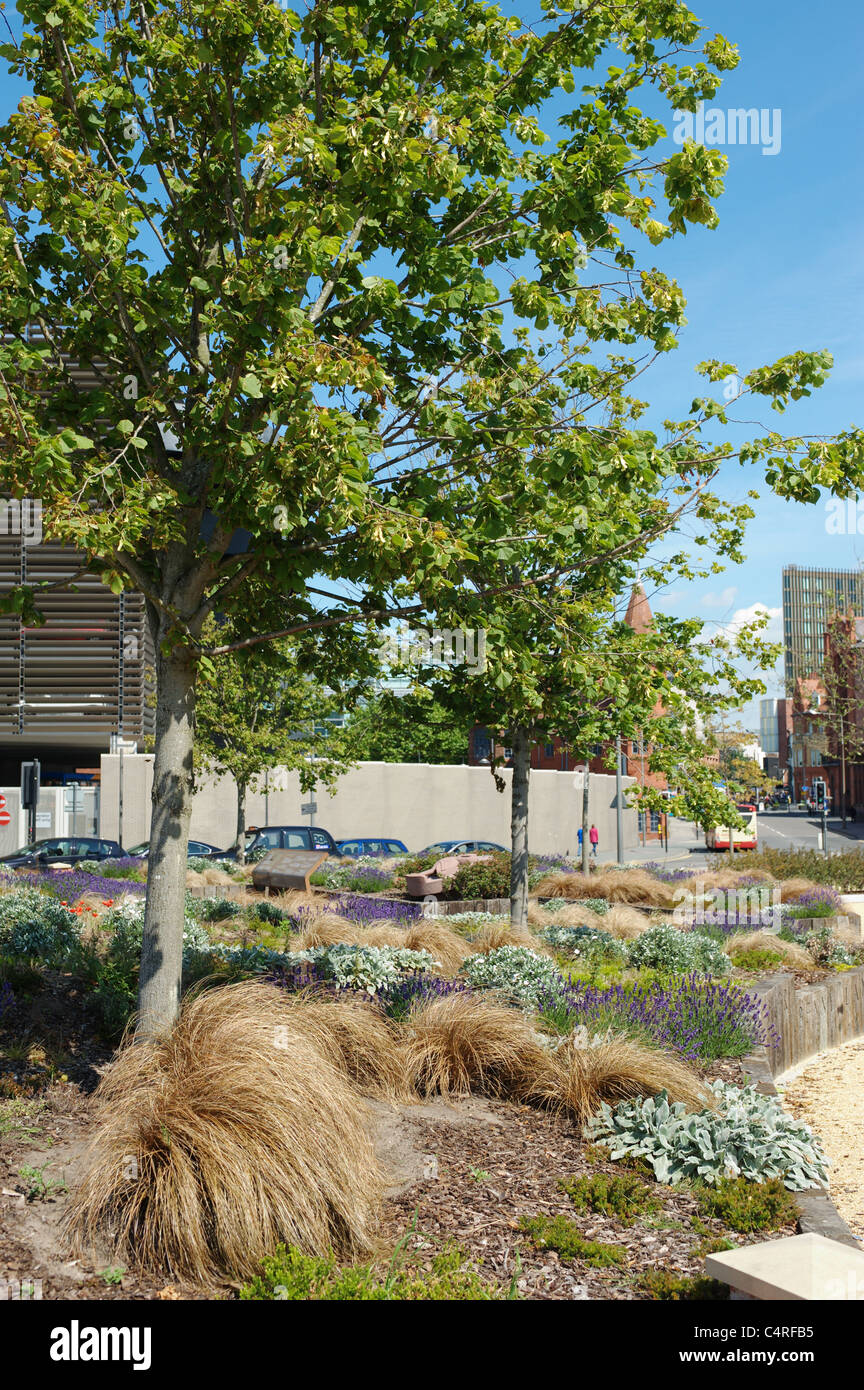 St Thomas Memorial Gardens, Liverpool, Merseyside, England, UK Stock ...