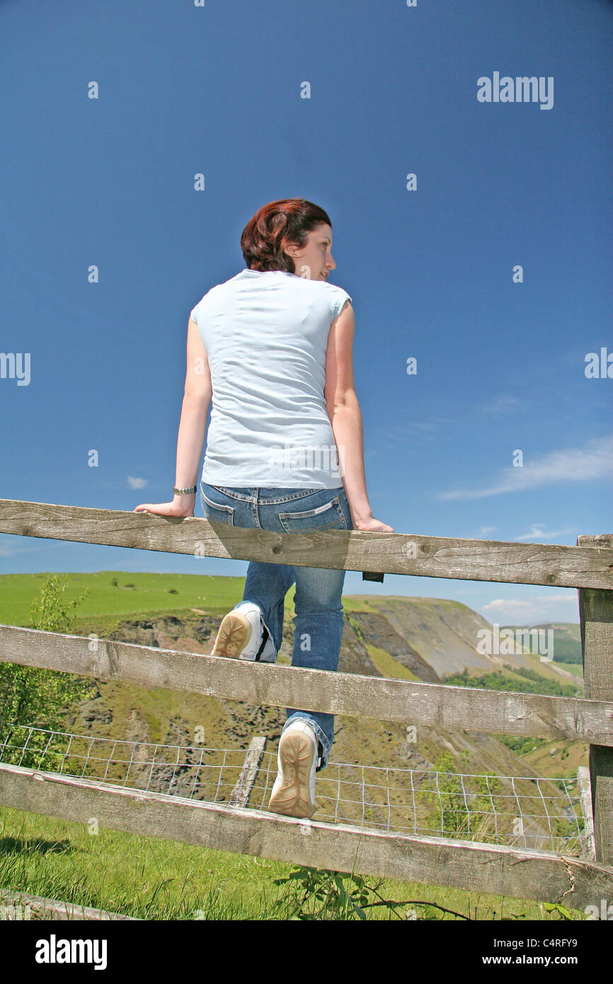 Dylife Gorge High Resolution Stock Photography and Images - Alamy