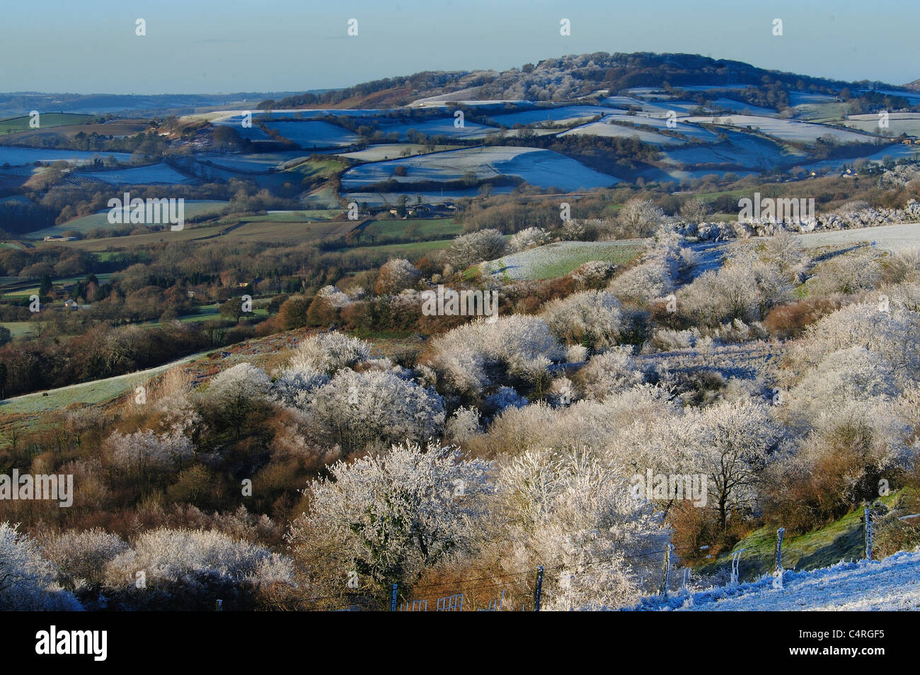 Beaminster dorset winter hi-res stock photography and images - Alamy