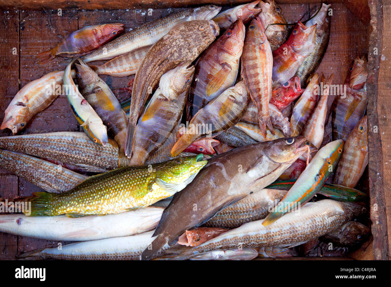 Fish fish market island greece hi-res stock photography and images - Alamy