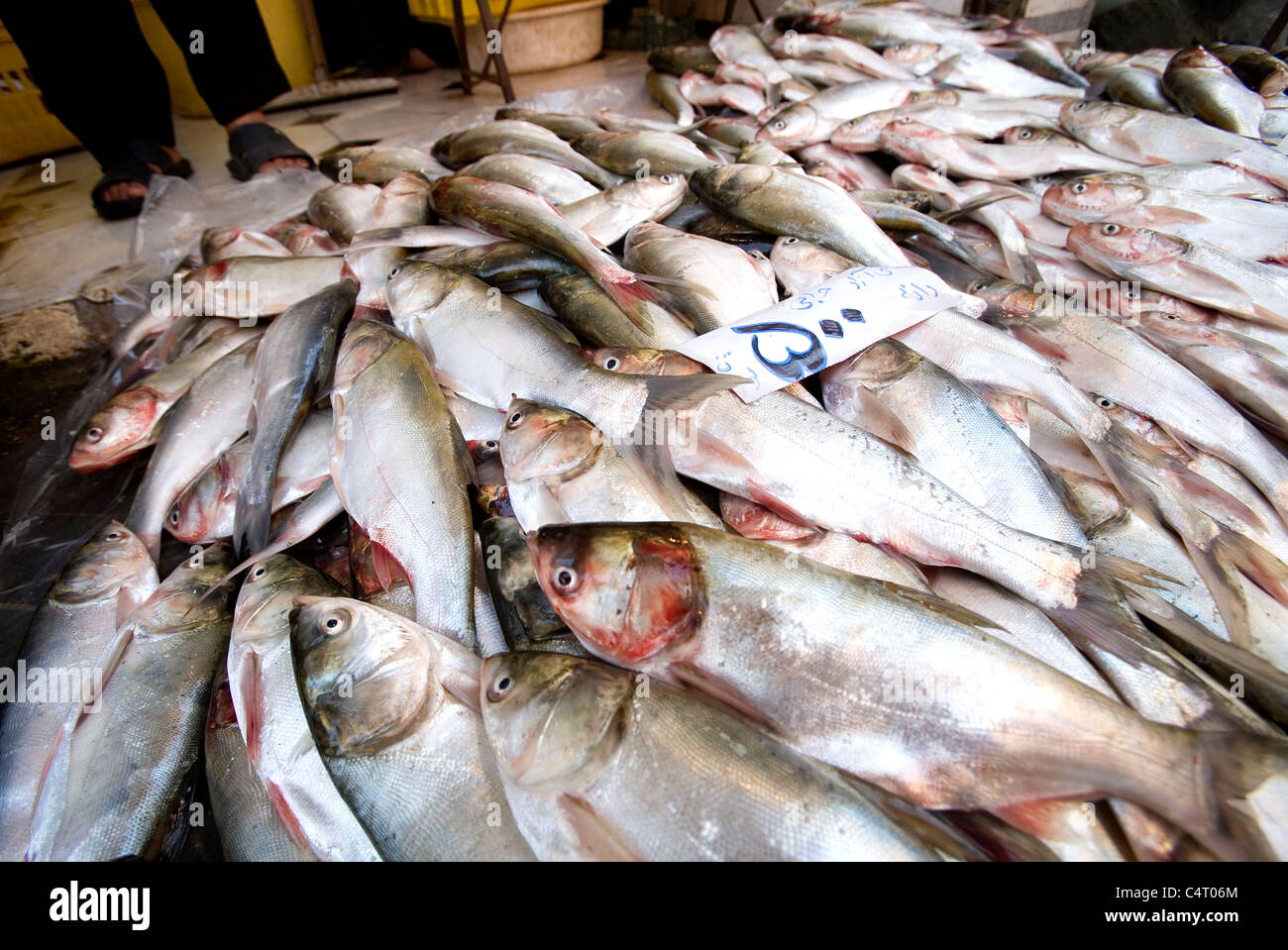 Fish market in Rasht, Iran Stock Photo - Alamy