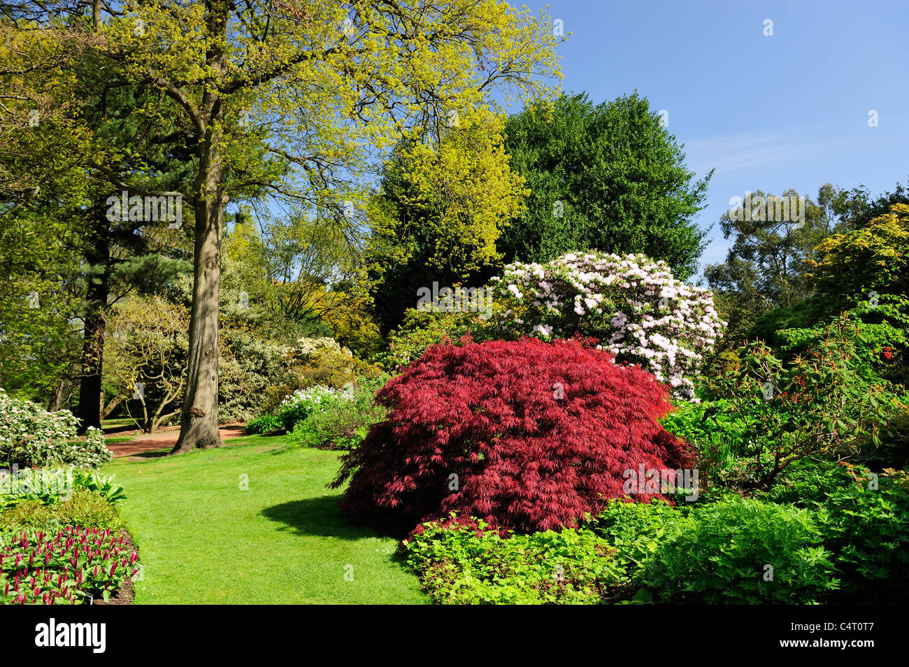 Edinburgh botanic gardens hi-res stock photography and images - Alamy