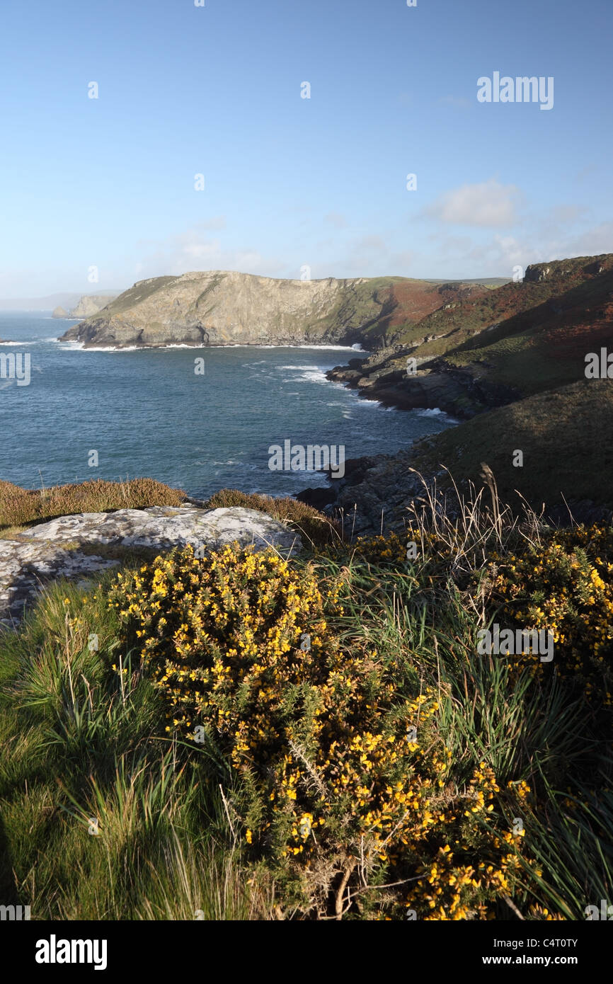 The View North Along the Cornish Coastal Path Near Tintagel Castle ...
