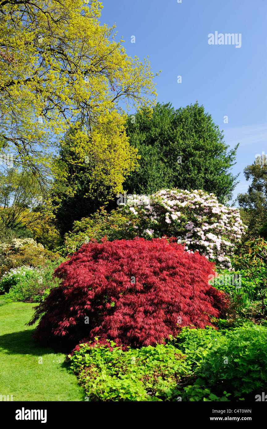 Royal botanic gardens edinburgh spring hi-res stock photography and ...