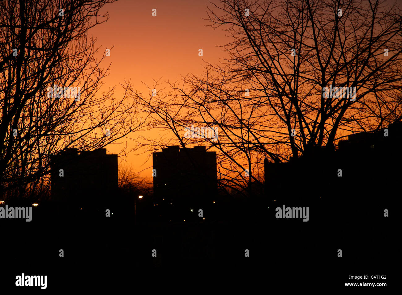 Sunset with street lights in an urban setting Stock Photo - Alamy