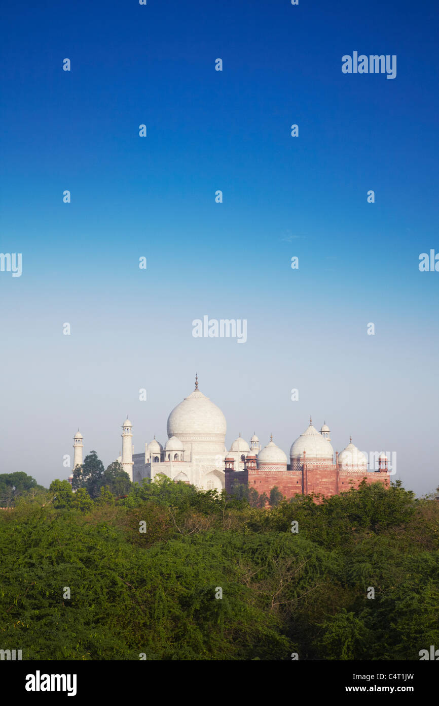 Taj mahal with flowers hi-res stock photography and images - Alamy