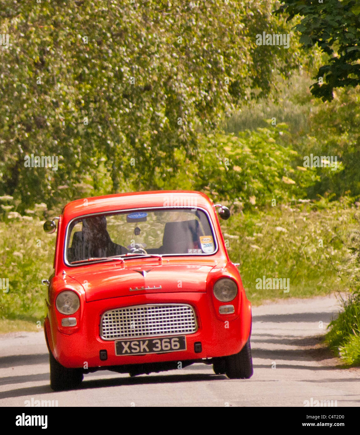 Renovated classic car 1959 Ford Anglia 100E driving in English country ...