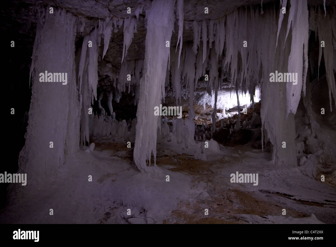 Intricate ice stalactite in Pinega cave Hrustalnaya. Arkhangelsk region ...