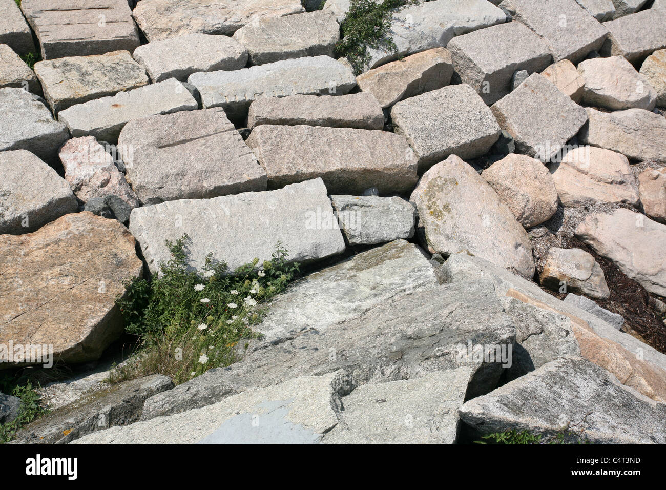 Closeup of Rocks with weeds growing between Stock Photo - Alamy