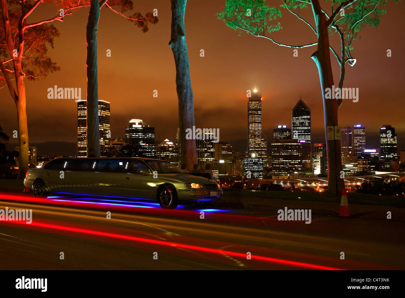 Stretch Limousine Under Light Painted Lemon Scented Eucalyptus Gum ...