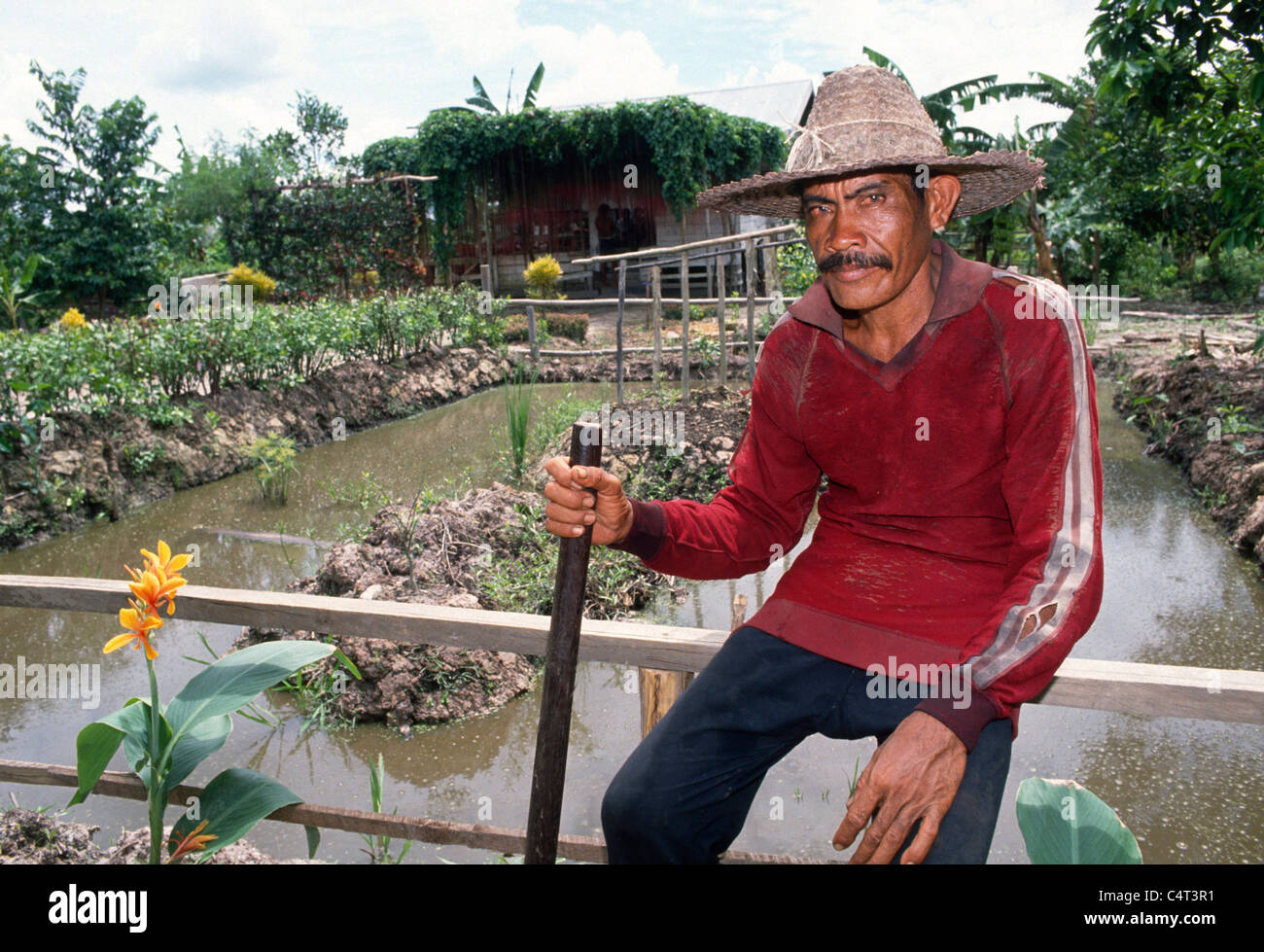 Transmigrant on a transmigration site in Sumatra Stock Photo - Alamy
