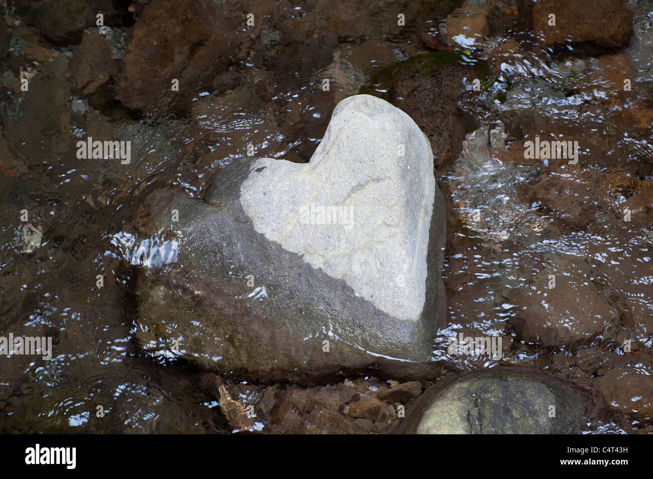 Heart form in nature hi-res stock photography and images - Alamy
