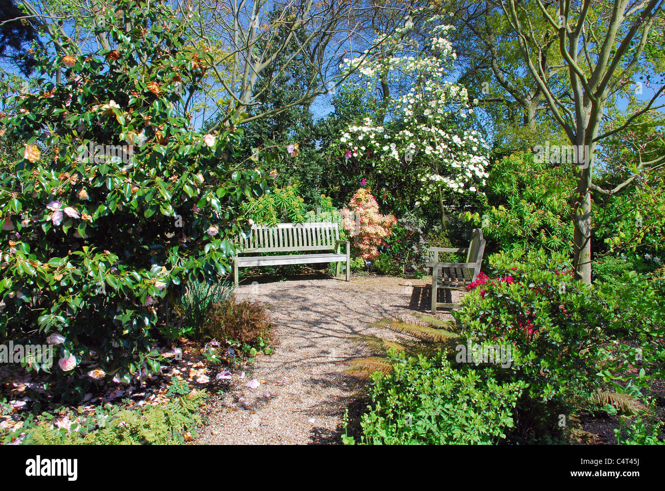 Garden retreat, calm and relaxing view Stock Photo - Alamy