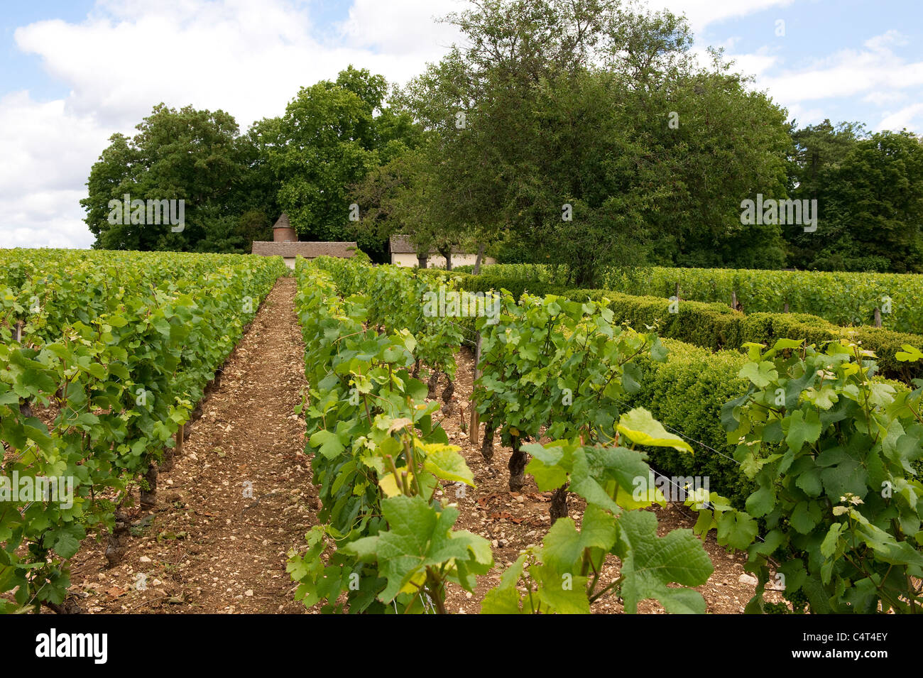 chateau de pommard, france Stock Photo - Alamy