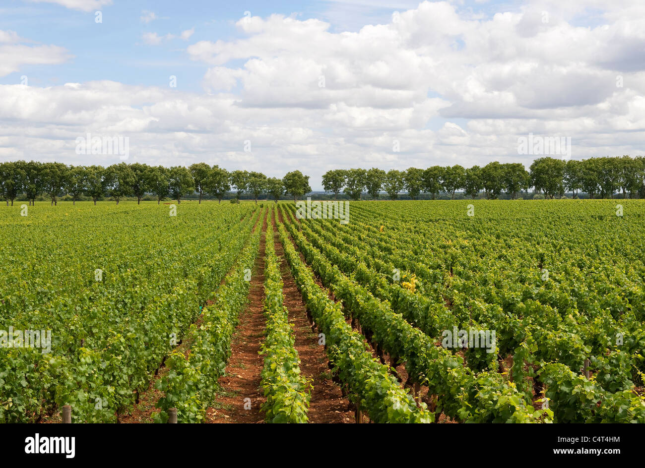 chateau de pommard, france Stock Photo - Alamy