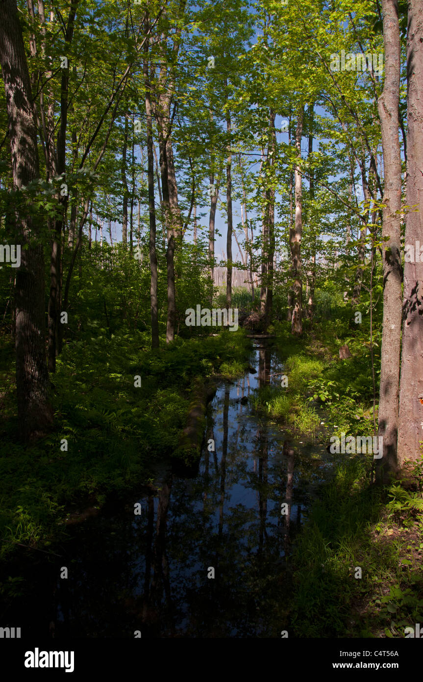 Ile bizard hi-res stock photography and images - Alamy