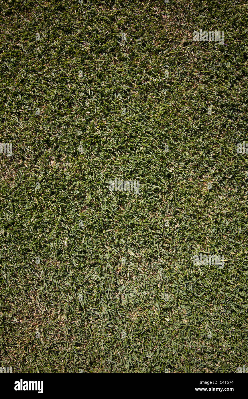 Grass turf hi-res stock photography and images - Alamy