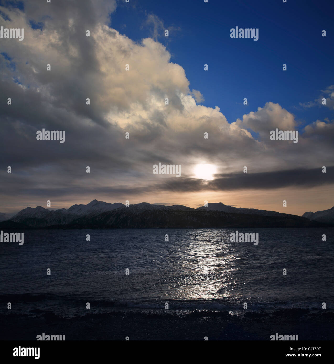 An Alaskan Sunset Taken From The End Of The Spit At Homer Alaska, Kenai ...