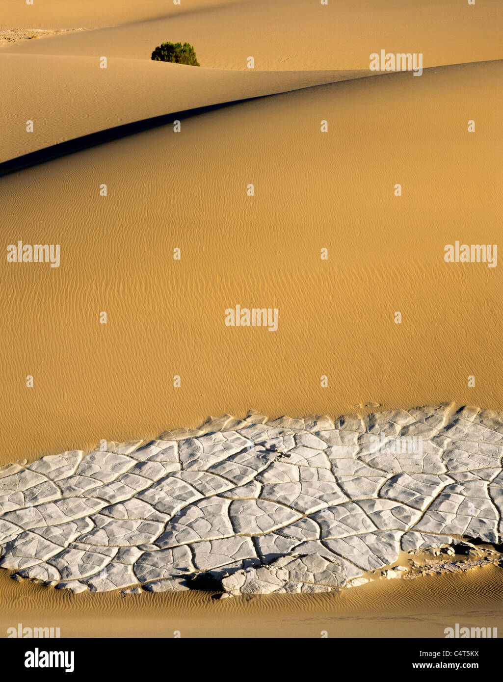Sand Ripples And Dried Cracked Mud On A Sand Dune At Stovepipe Wells In ...