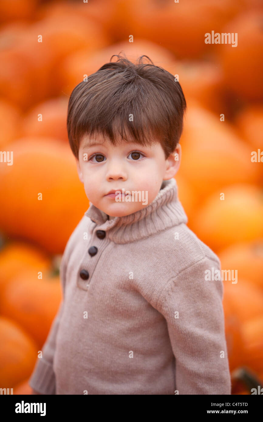 2 Year Old Boy At Pumpkin Patch MR Stock Photo Alamy 2 Year Old Boy At Pumpkin Patch MR Stock Photo Alamy