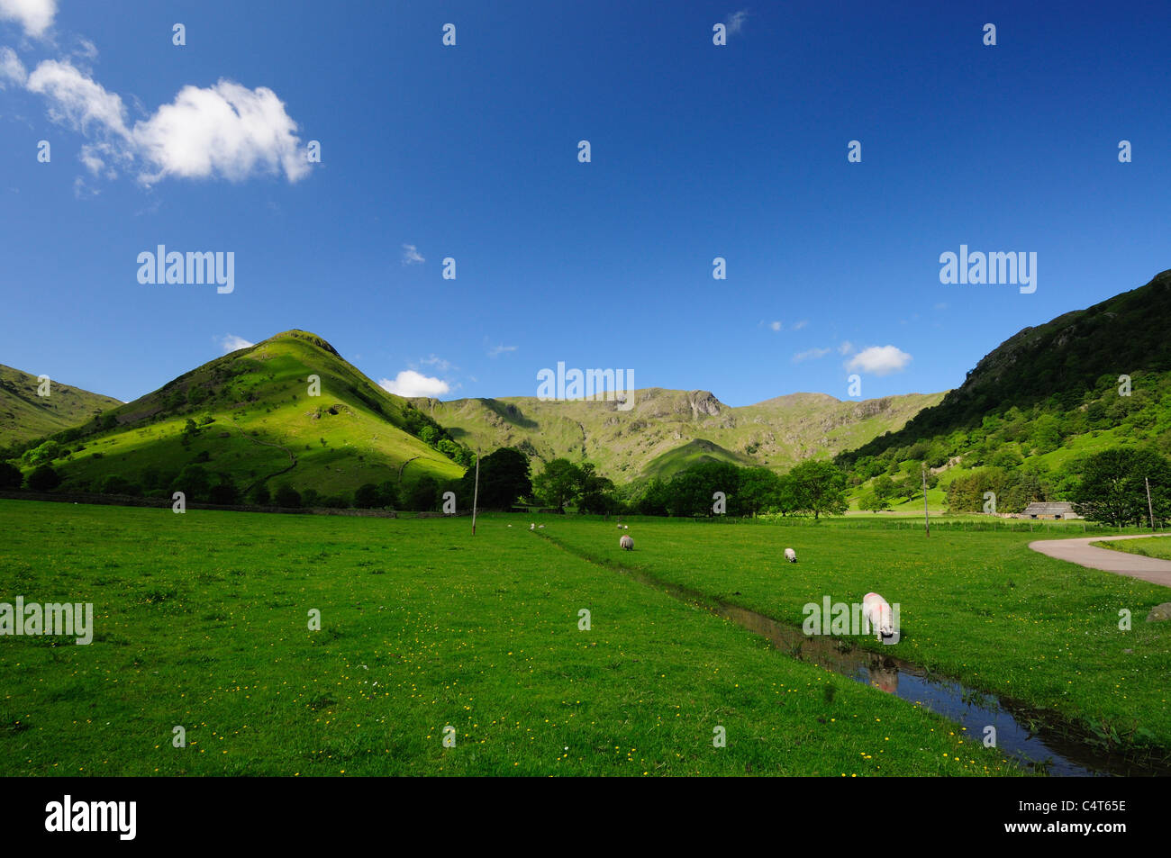 Summer view of fells fields and countryside in the English Lake ...
