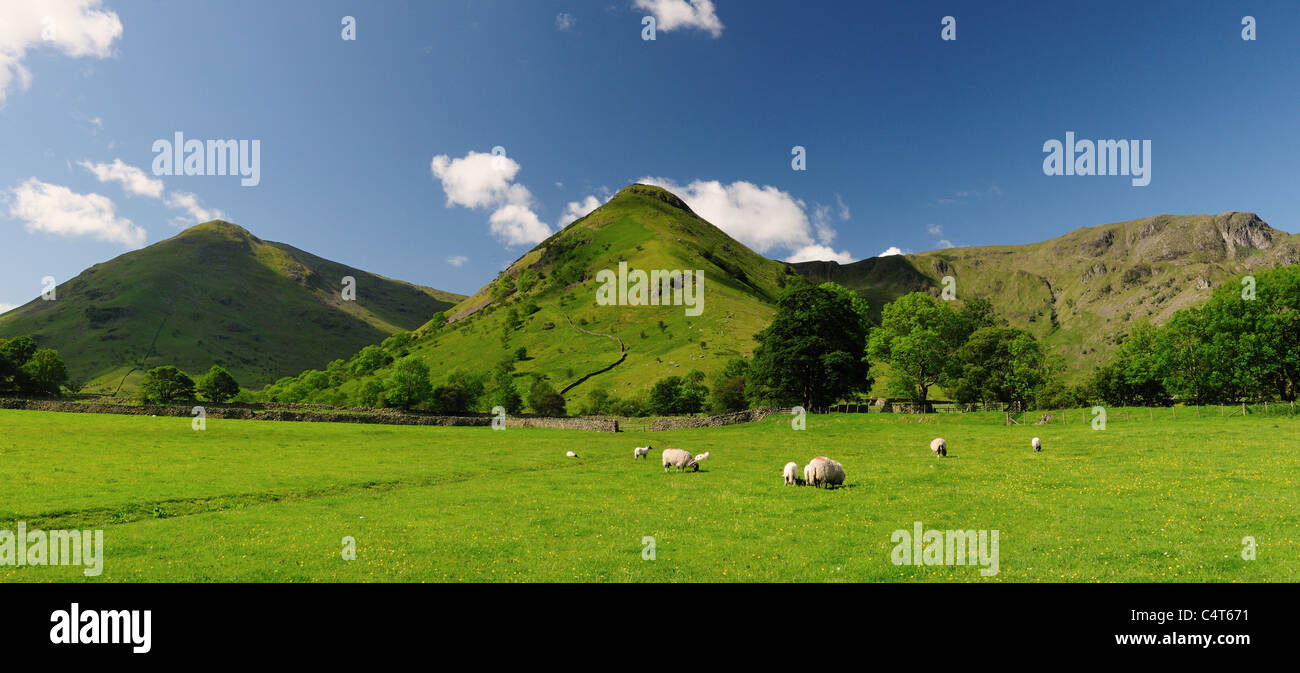 Summer view of fells fields and countryside in the English Lake ...