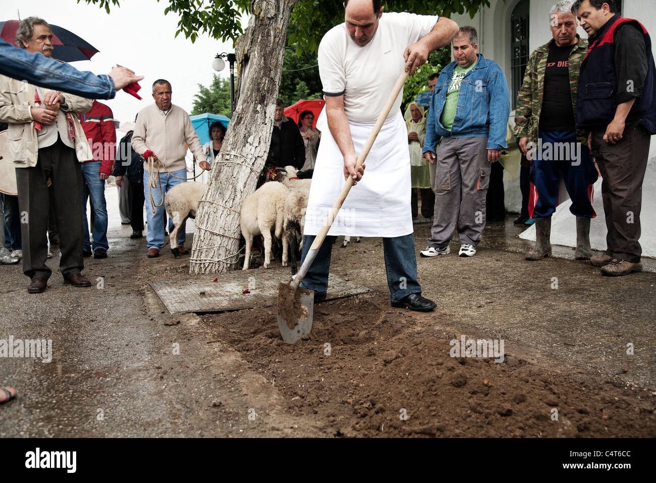 Slaughter the animal in a way that his blood to water the earth, cook ...