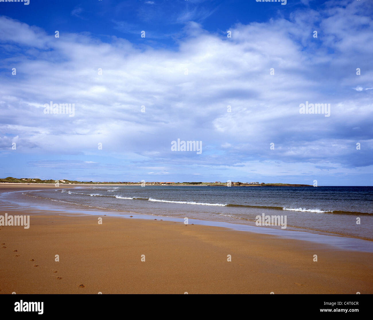 The Sandy beach at Beadnell Bay on the Northumberland Coast England ...