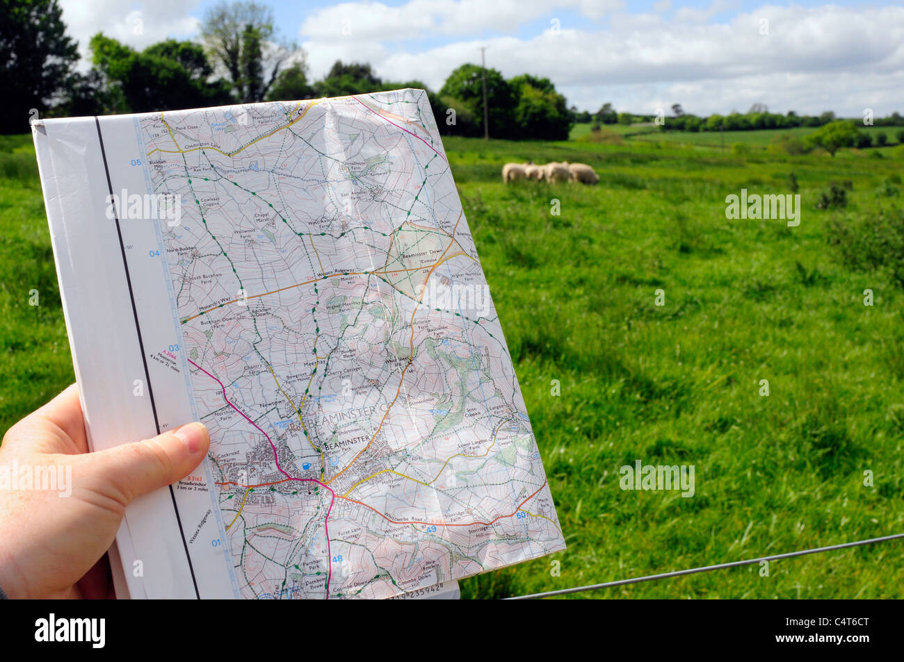 A walker with an ordinance survey map in the English countryside around ...