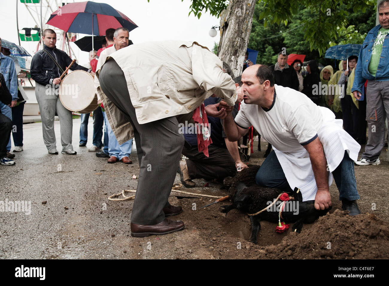 Slaughter the animal in a way that his blood to water the earth, cook ...