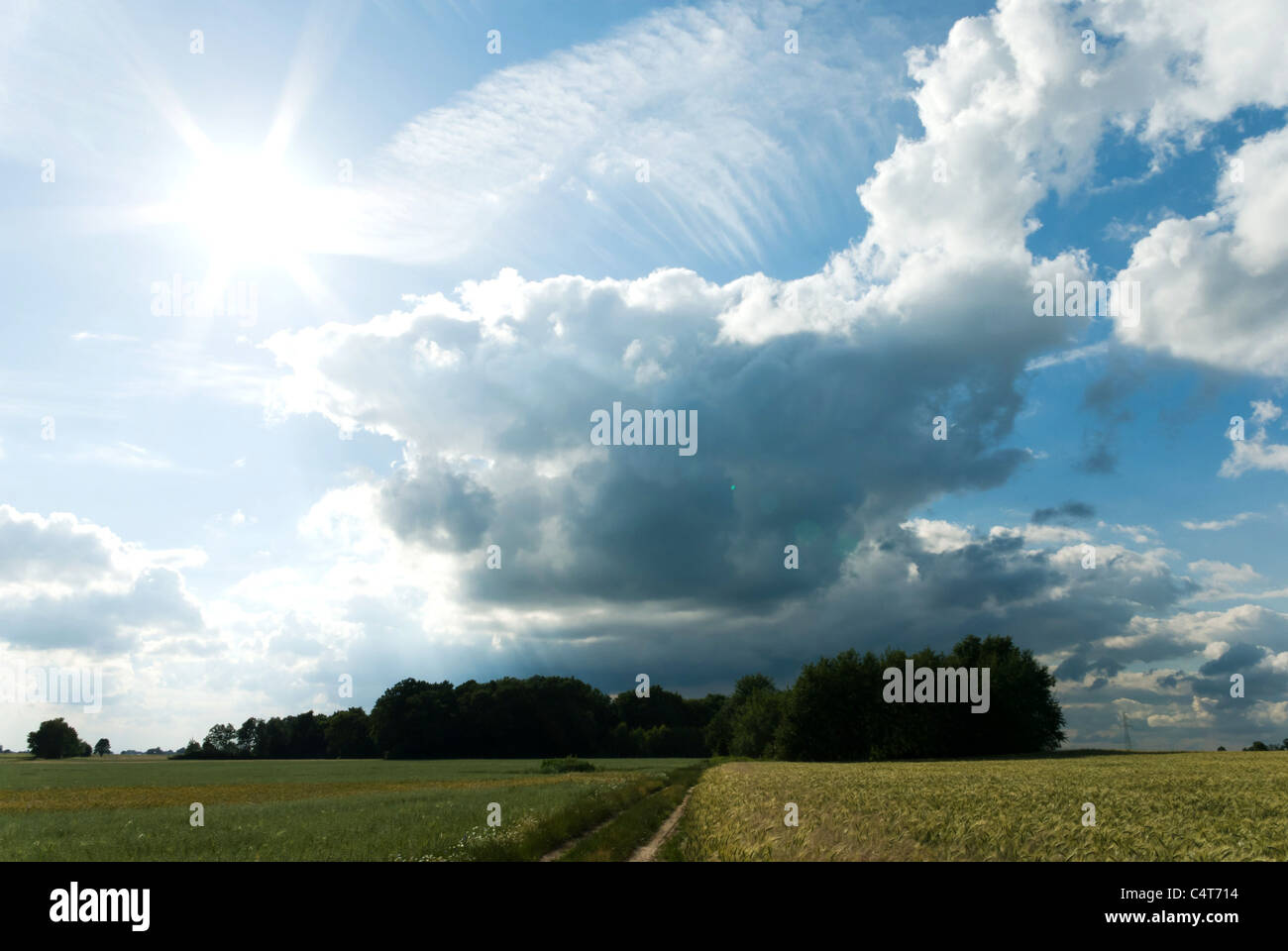 clouds on a warm evening Stock Photo - Alamy