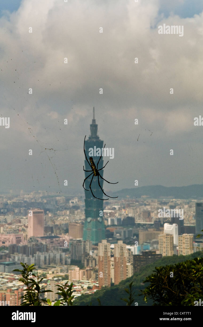 A spider 'climbing' on Taipei 101 Stock Photo - Alamy