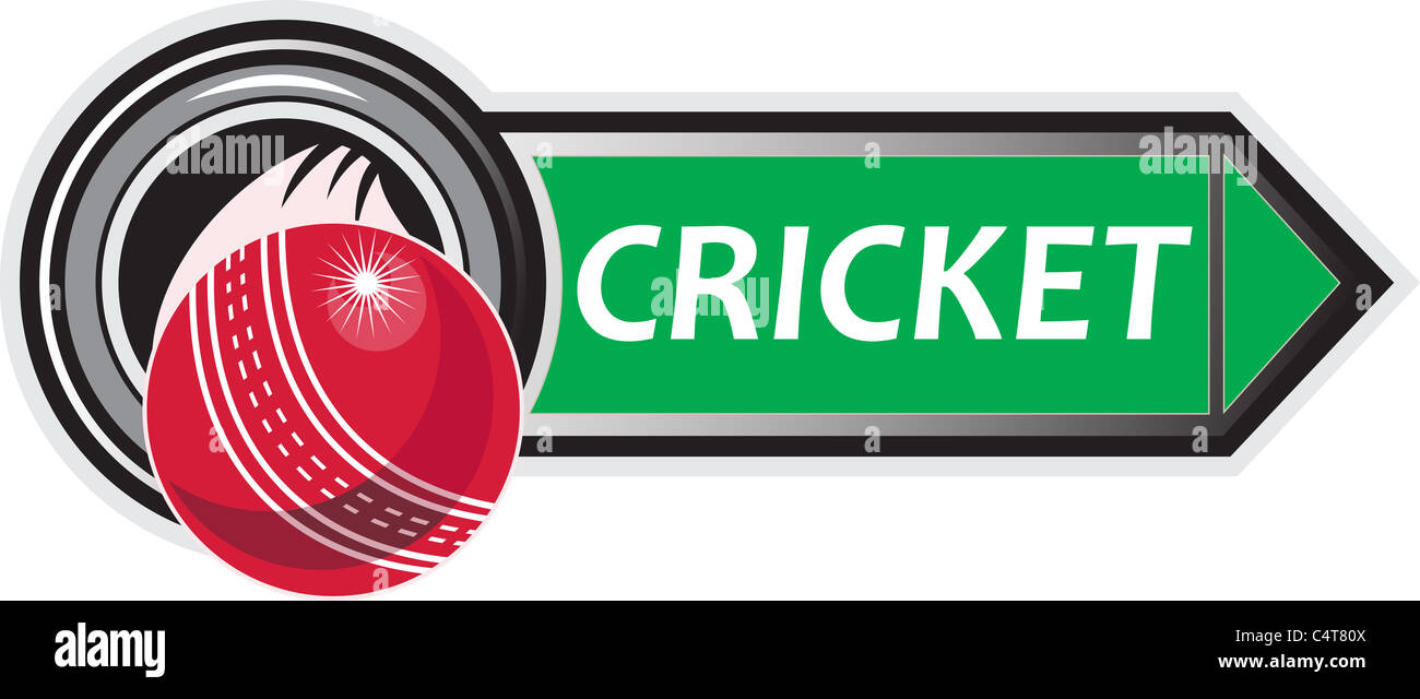 illustration of a cricket sports ball with arrow on isolated white ...