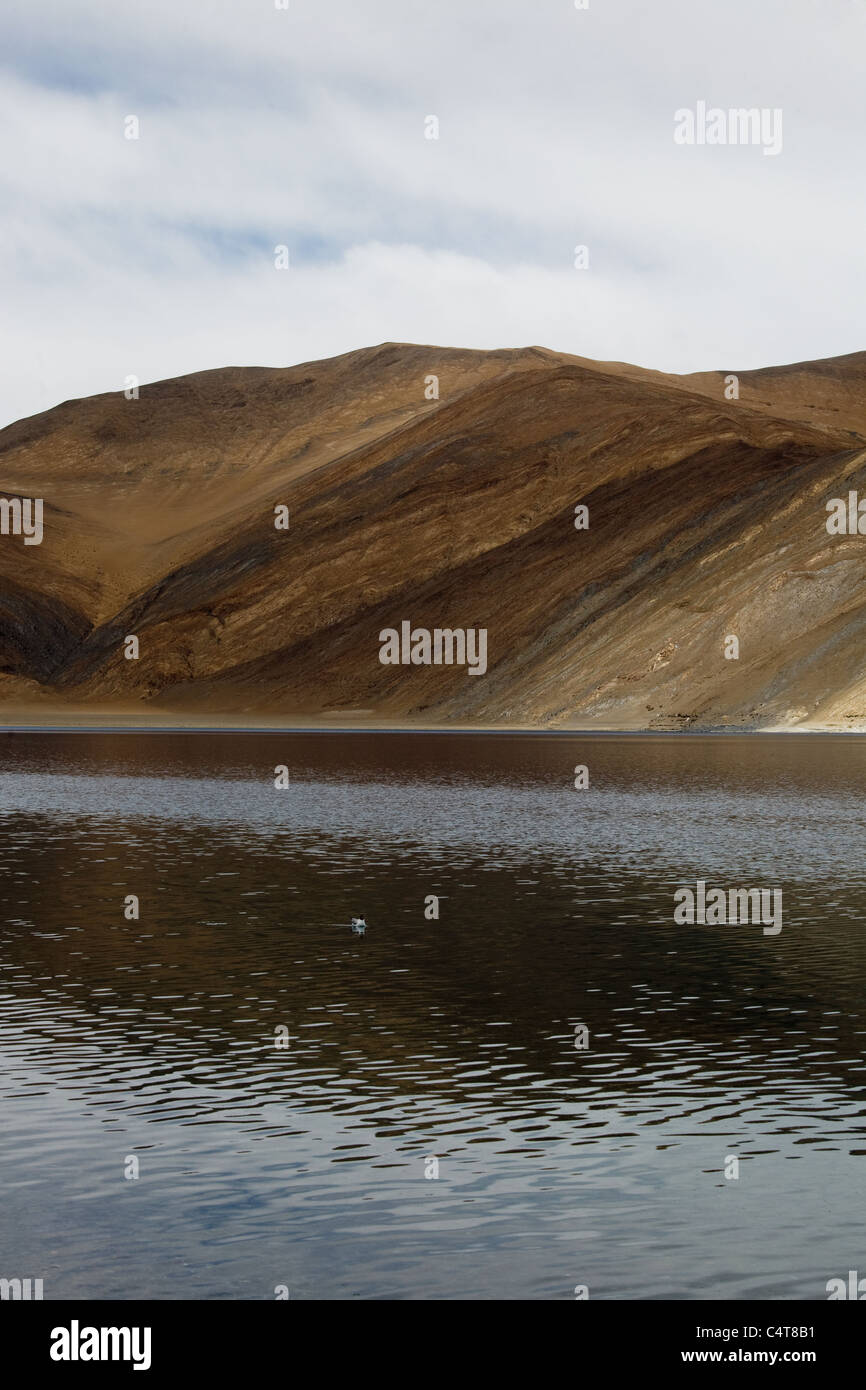 Near Leh, Ladakh in northern India are the Himalayas with snow-capped ...