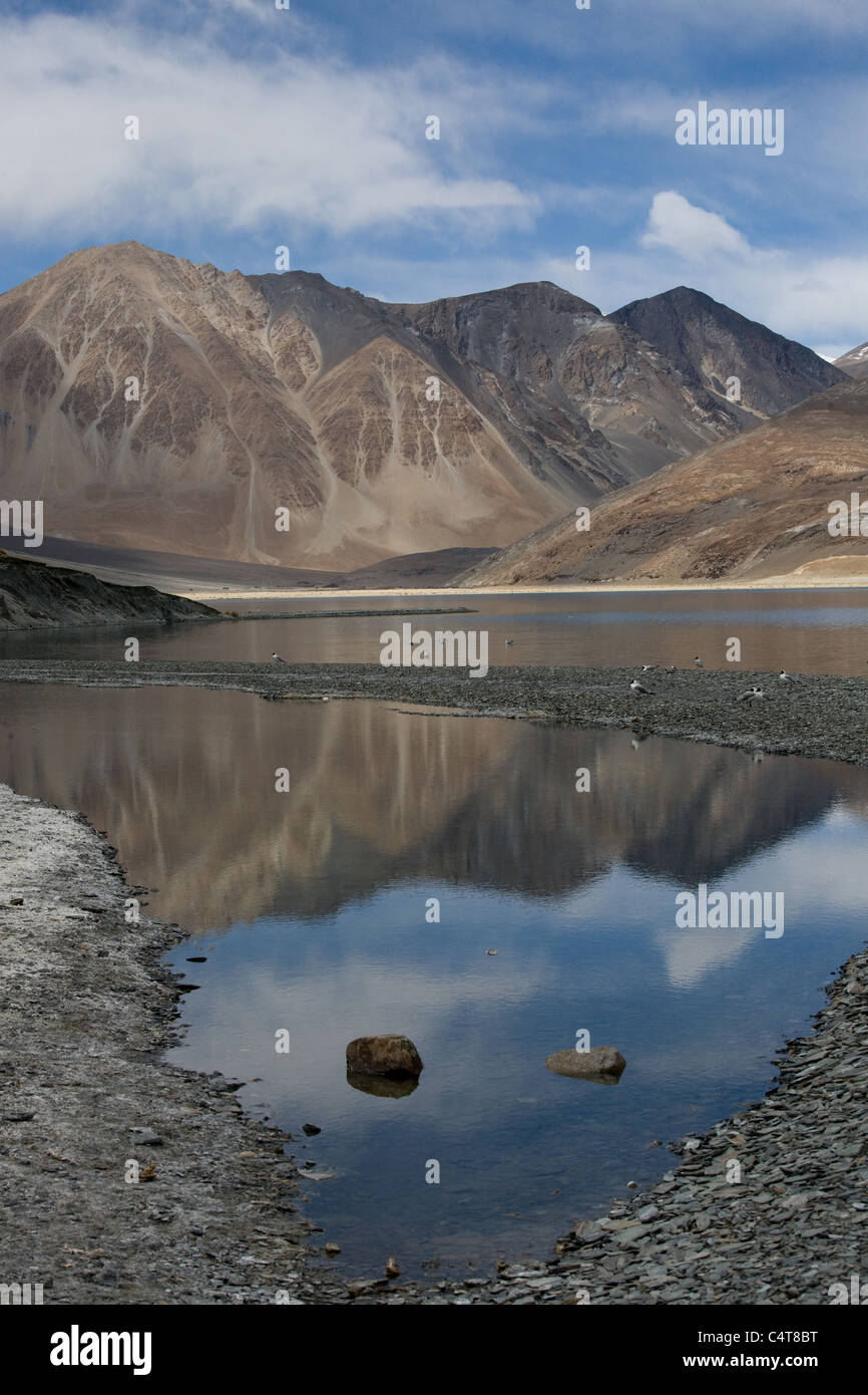 Near Leh, Ladakh in northern India are the Himalayas with snow-capped ...