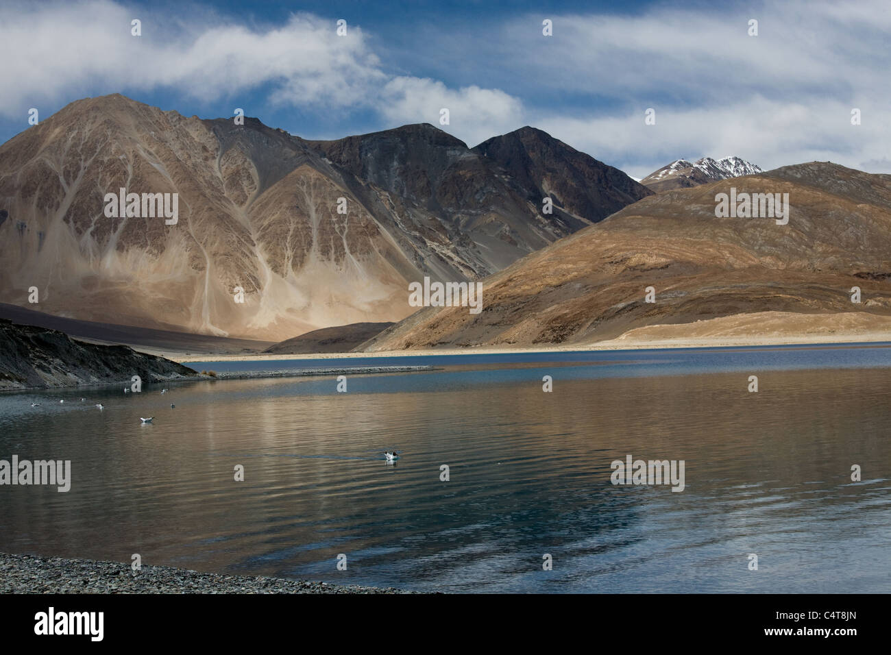 Near Leh, Ladakh in northern India are the Himalayas with snow-capped ...